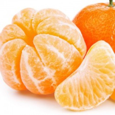 clementina-biologica-goel-bio-calabria